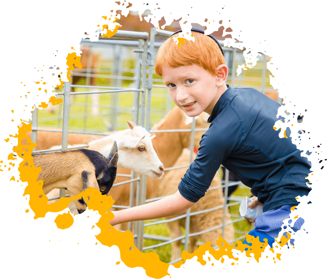 Camp Chofetz Chaim Homepage - Talmudical